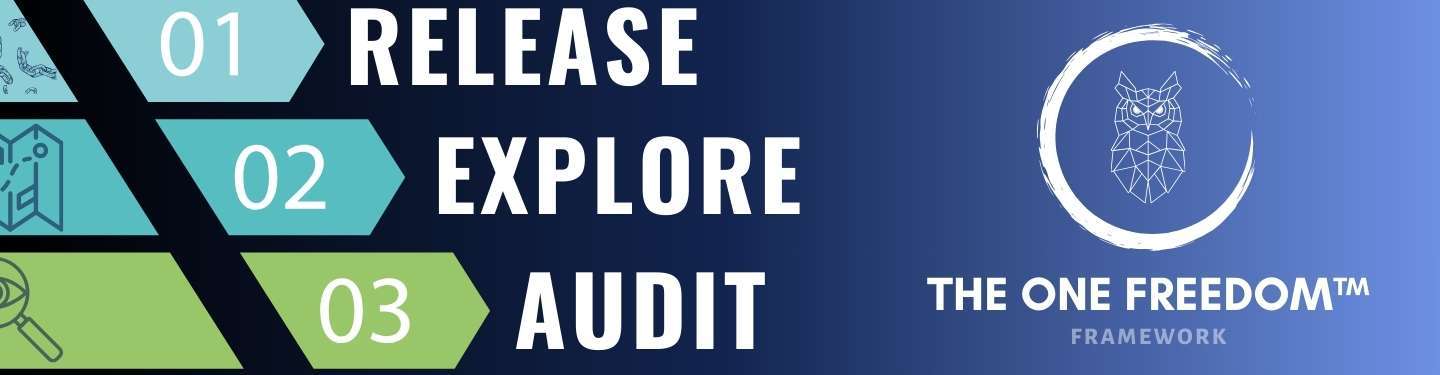 Unlock Your Potential With The One Freedom Framework | Vivien Roggero